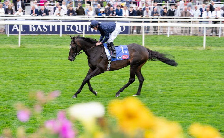 Scandinavia and Lambourn head St Leger confirmations as Aidan O'Brien ...
