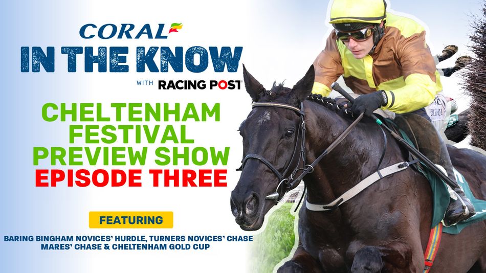 Watch: top tipsters Tom Segal and Paul Kealy analyse the Cheltenham ...