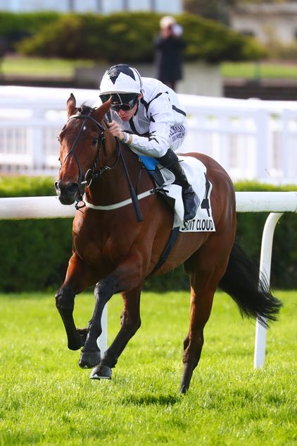 Group 3 winner and Classic prospect Making Dreams to be offered by ...