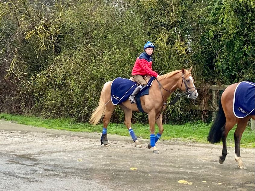 'He's had a good winter' - Slipofthepen out to write Classic script for ...