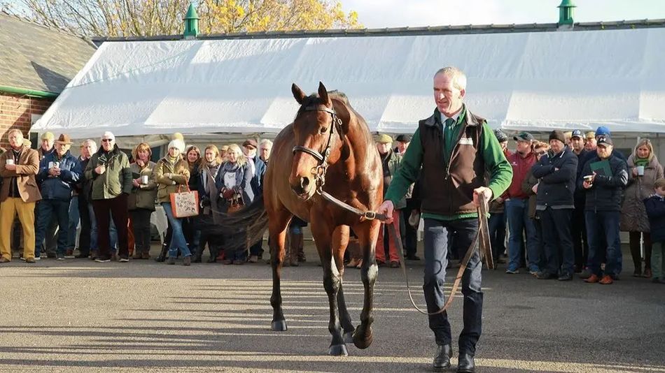 Fantastic weekend for Sea The Moon continues in Deutsches Derby ...