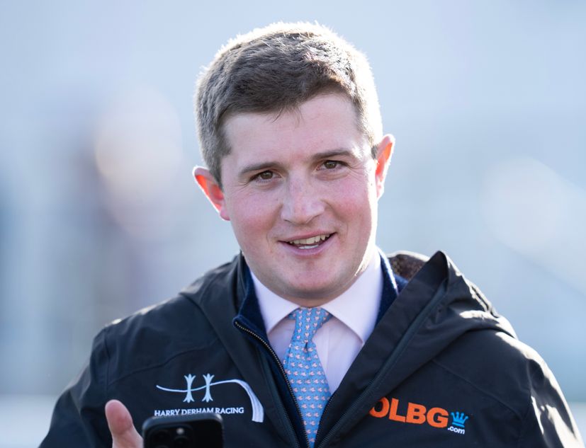 Key quotes for the Newbury Hurdle as Harry Derham nominates his 'team ...