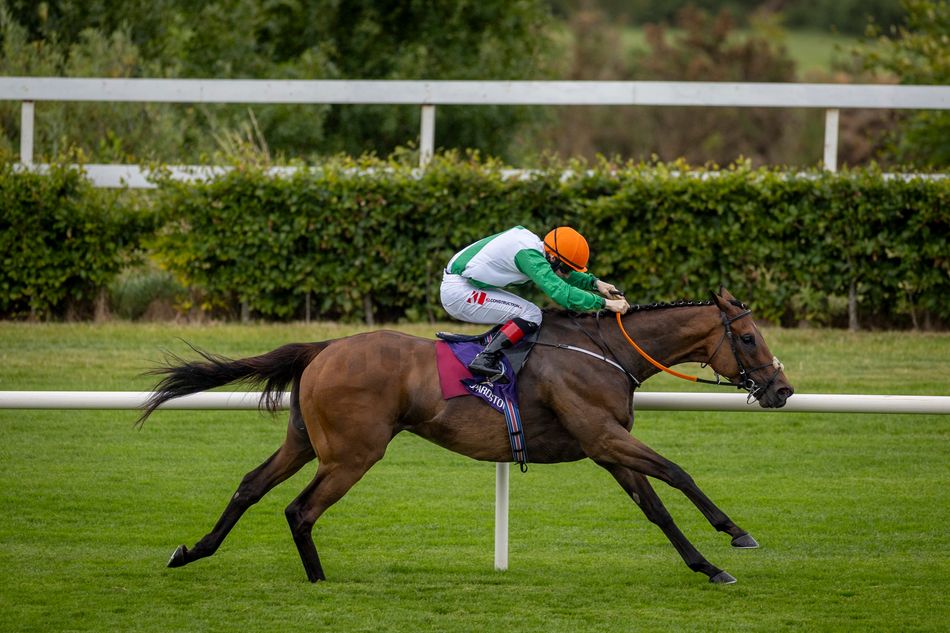 'There's only one Irish St Leger' - Crystal Black team keen to test ...