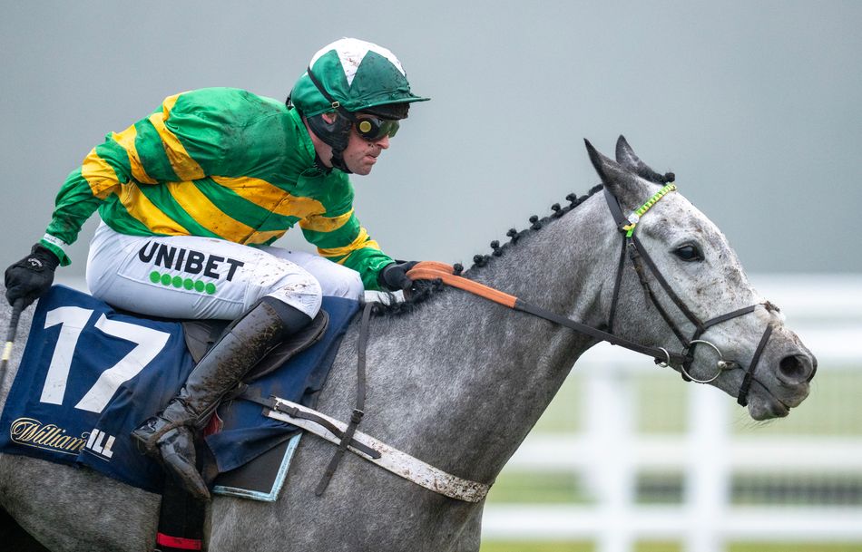 Joyeuse thrashes the field to give Nicky Henderson seventh William Hill ...