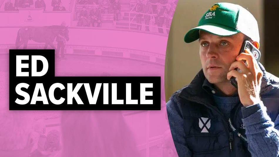 'The day you buy is the day you sell' | Racing Post