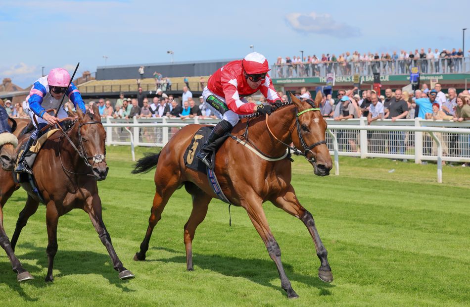 'It's massive for the yard' - Lorna B proving a reliable filly for Seb ...