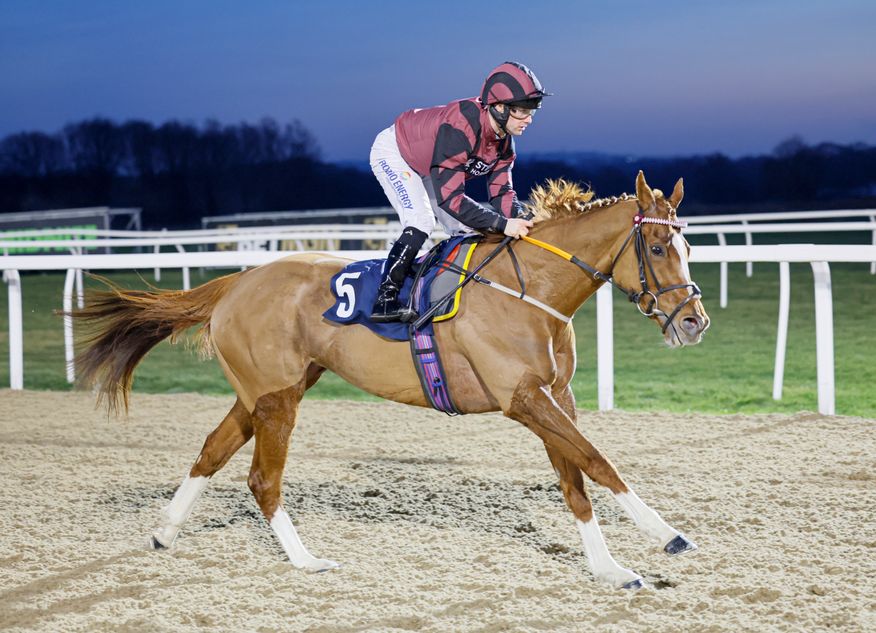 Horse rated 38 wins twice in 24 hours and could go for a hat-trick on ...