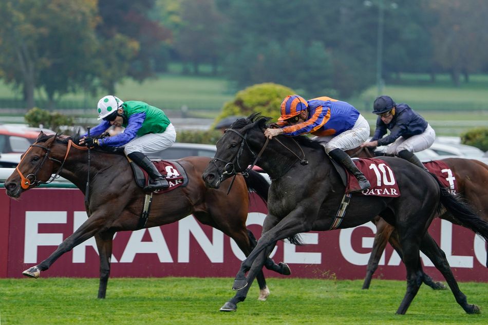 2,000 Guineas winner Ruling Court among seven names removed from French ...