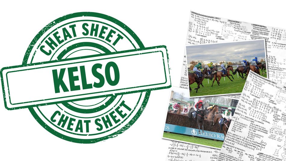 Cheltenham winner looking for first win for new yard and one horse ...