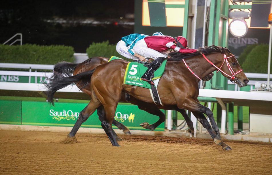Japan's Dubai World Cup challenge highlights nation's colossal racing ...