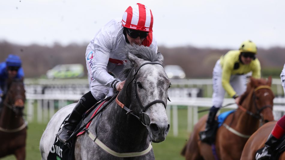 'He’s a total outcross' - Australian Group 1 winner and former British ...