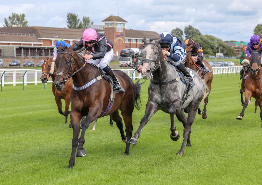 Retirement Beckons lands fourth course-and-distance victory to end ...