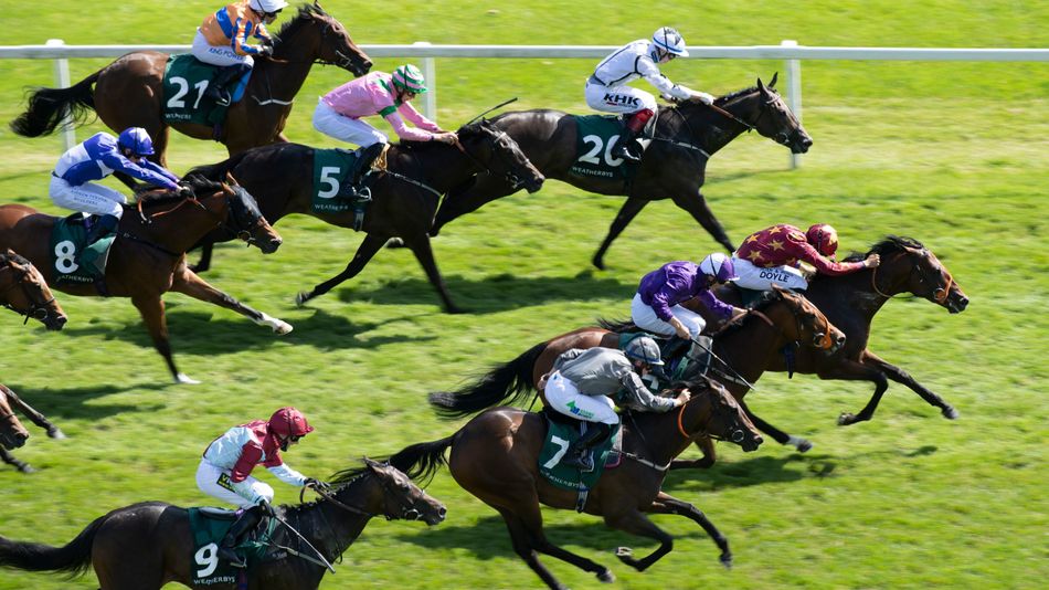 'Funny things happen in this race' - Richard Hannon fields seven ...