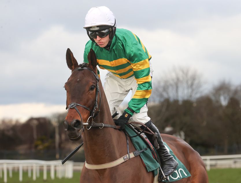 Spillane's Tower set to take his place in star-studded John Durkan at ...
