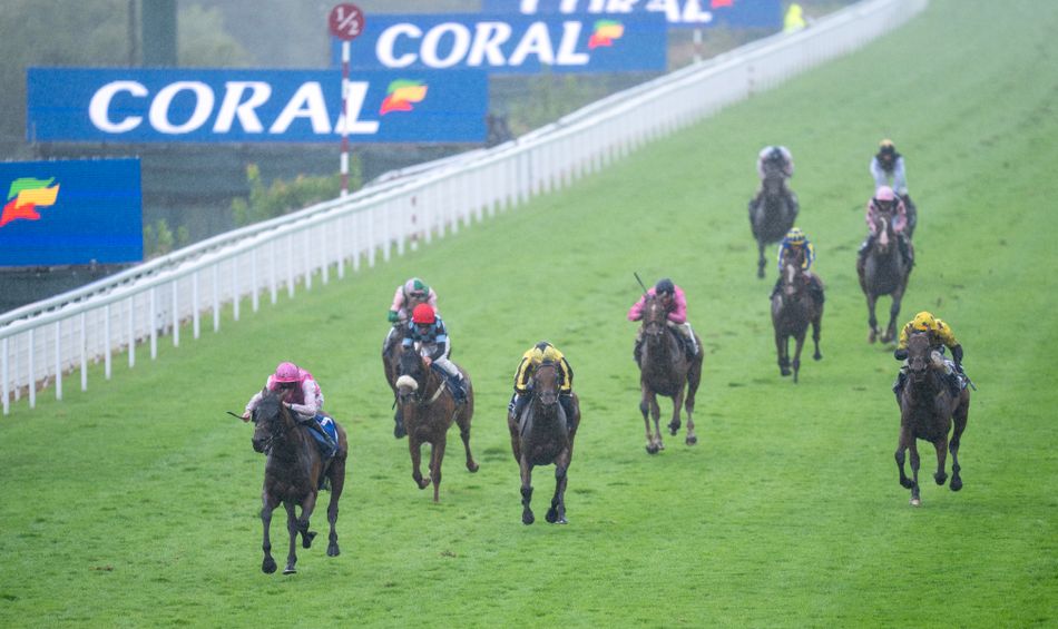 Ante-post favourite Sweet William guaranteed a run in Saturday's Ebor as 39 confirmed for ...