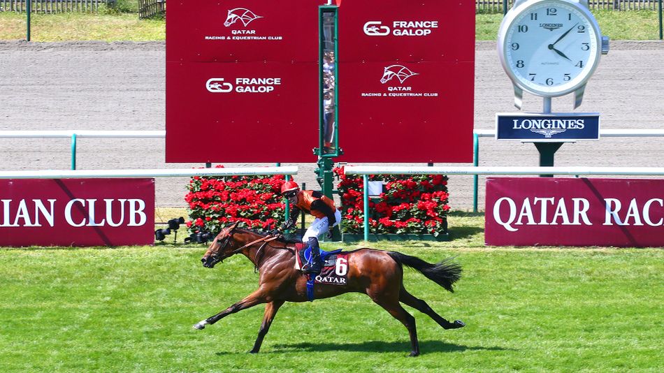 Arc aces: Cristian Demuro confident Ace Impact and Feed The Flame hold ...