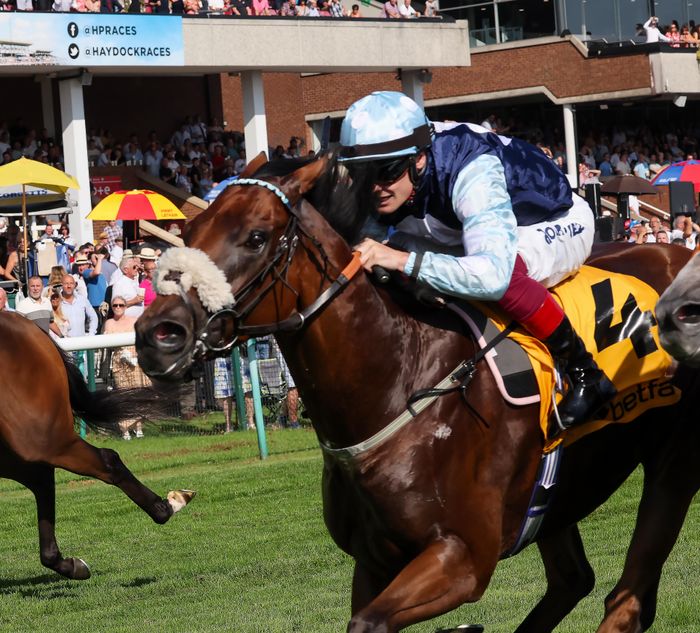 'All roads lead back to the Sprint Cup' - Regional primed for Haydock ...