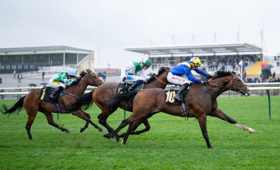 Bunbury Cup winner More Thunder to miss Ascot's International Handicap ...