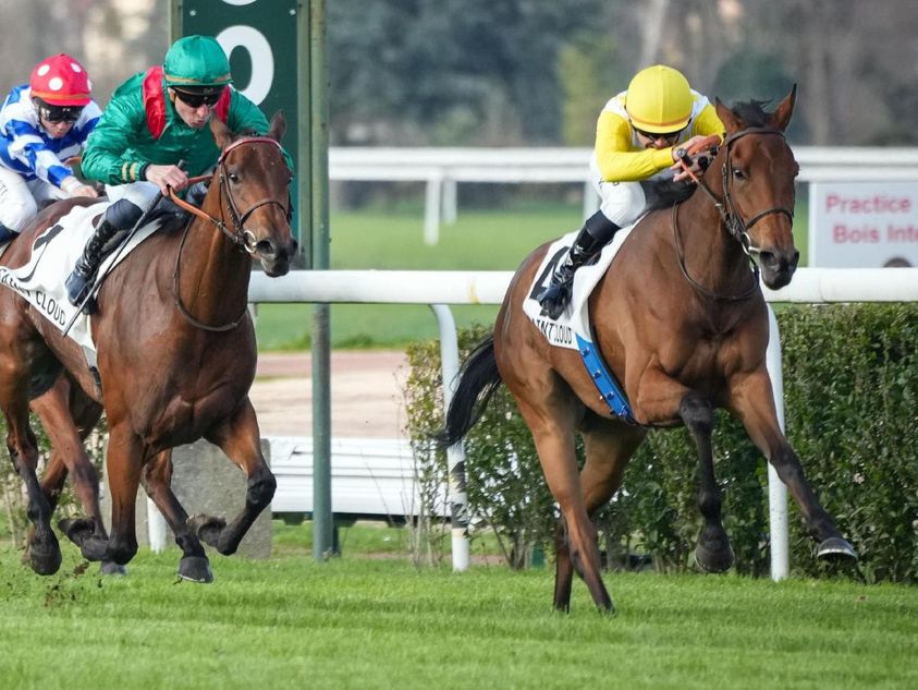 Listed winner and Prix de Diane entry Fun With Flags out to make a big ...