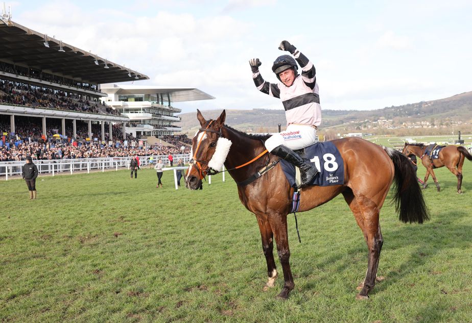 Racegoers in for a treat as Chaddesley Corbett and Horseheath set to ...