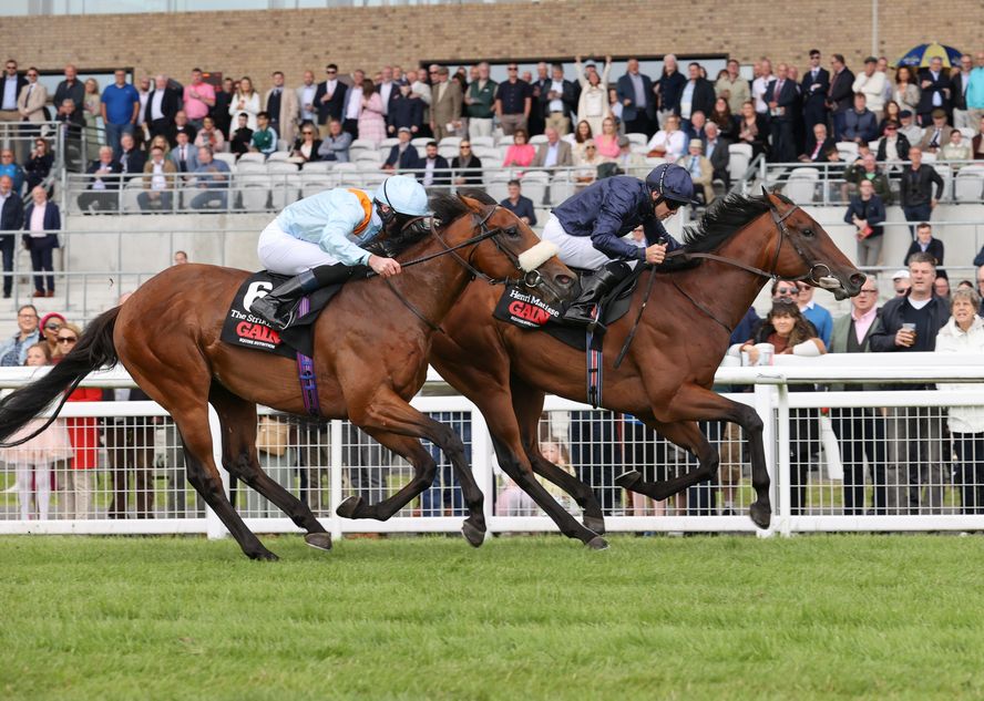 Wathnan Racing adds highly regarded juvenile to stable | Racing Post