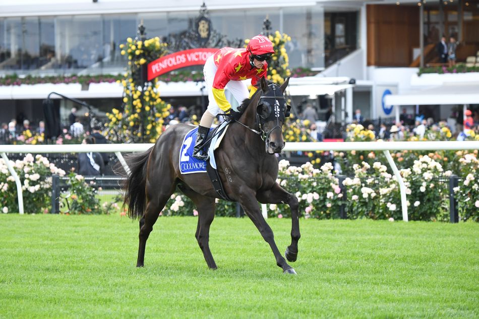 'He's taken the whole team on a terrific ride' - dual Group 1 winner ...