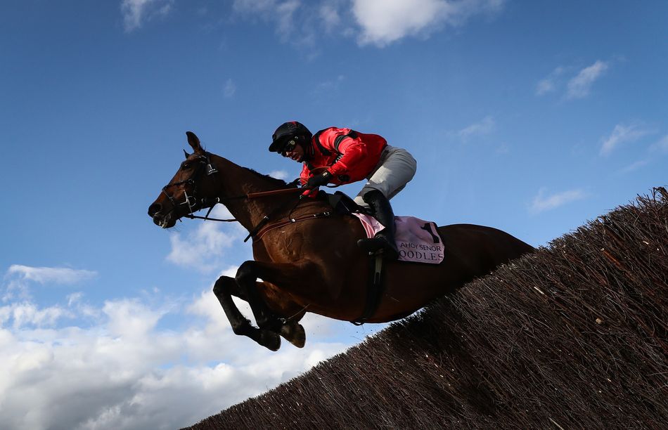 'It's what you get up in the morning for' - Stephen Mulqueen excited to ...