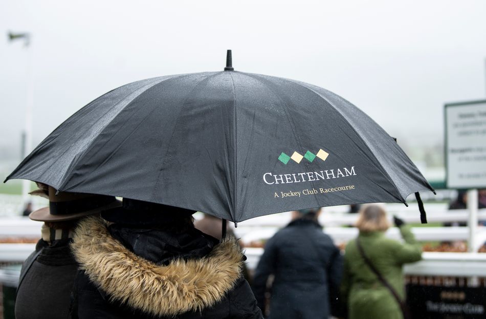 Cheltenham's Paddy Power Gold Cup card subject to 7.30am inspection on ...