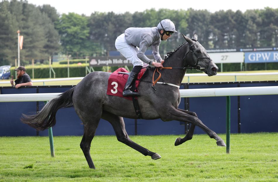 Sweet Solera winner Fallen Angel set to be rare British runner in Group ...