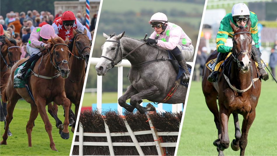 The last four Triumph winners have run in the juvenile hurdle at the ...
