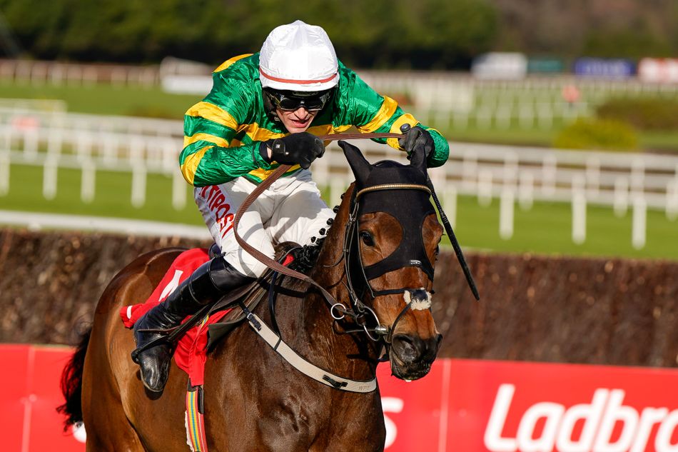 Gentleman De Mee ruled out of the Queen Mother Champion Chase with an ...