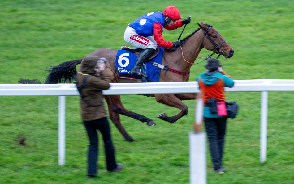 Maestro Conti maintains unbeaten record in Triumph Trial to become ...