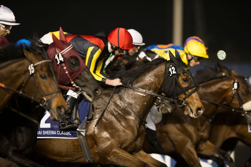 Japanese Triple Tiara heroine and top-level-winning broodmare ...