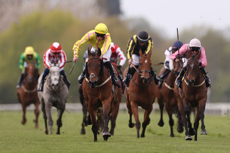 Apprentice Alec Voikhansky reduces claim in style with first double ...