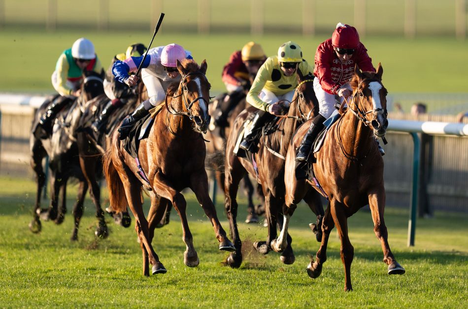 Well regarded and one-time 'possible Derby horse' given 'a fine ...