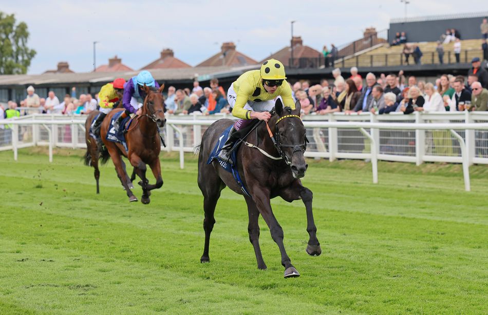 Erome casal_paraiso i wish she'd stick around Boulder for a