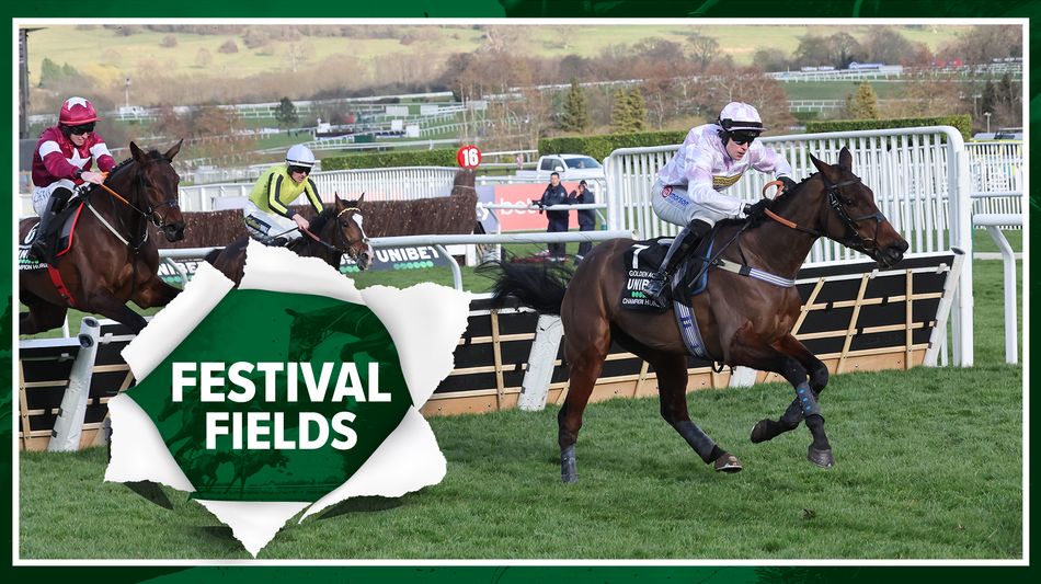 Hot Champion Hurdle favourite Sir Gino could face two former champions ...