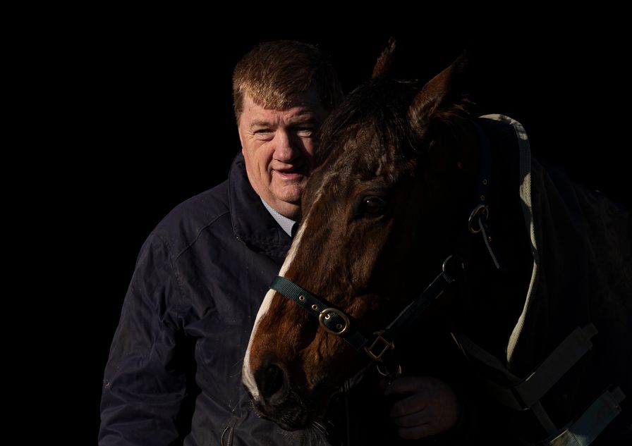 Hewick could go straight to the Gold Cup after Shark Hanlon pulls the ...