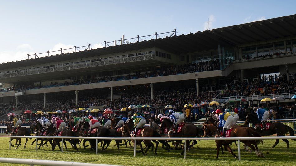 Three Dublin Racing Festival runners who could shake up the Cheltenham ...