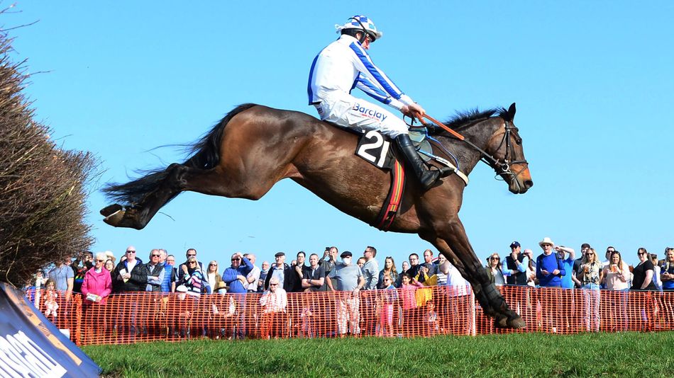 'Hopefully, he can come back to form' - analysis and trainer quotes as ...