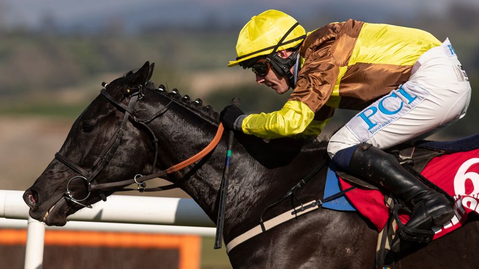Confirmed runners and riders for day one of the Dublin Racing Festival ...
