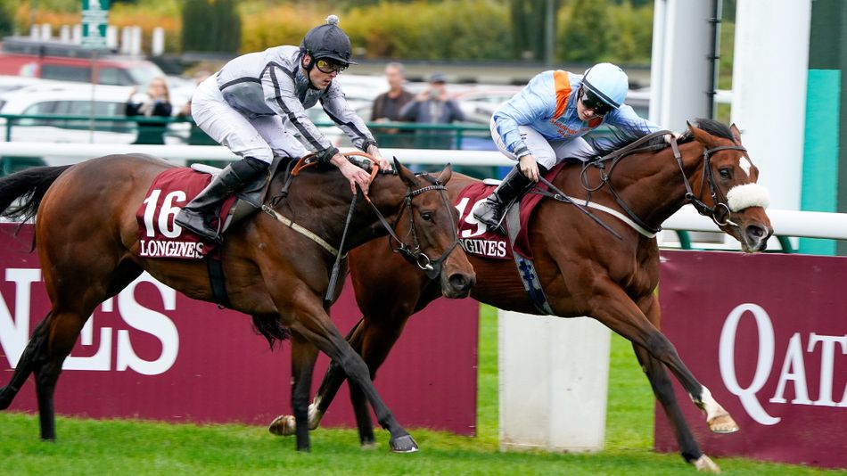 Middleham Park aiming to lift the roof off Longchamp again with ...