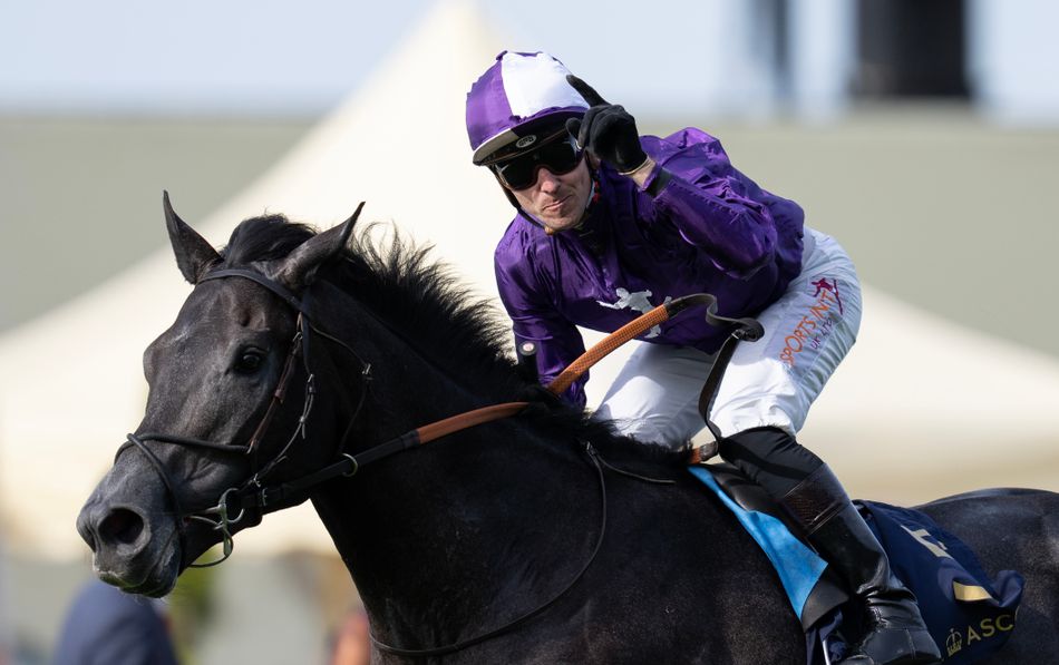 'I think he's versatile' - soft ground no concern for Champion Stakes ...