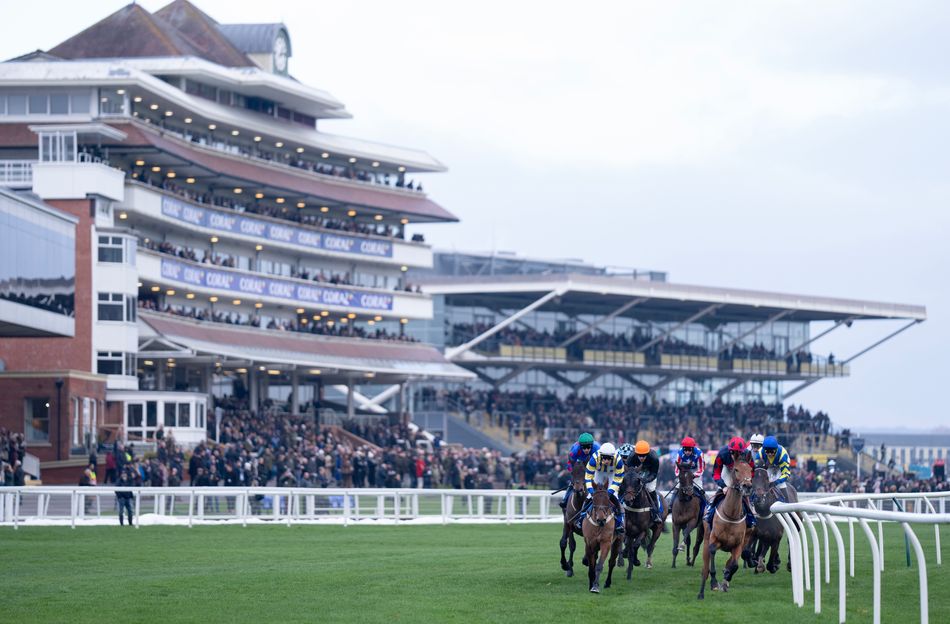 Revenue and profits rise at Newbury racecourse despite 'very ...