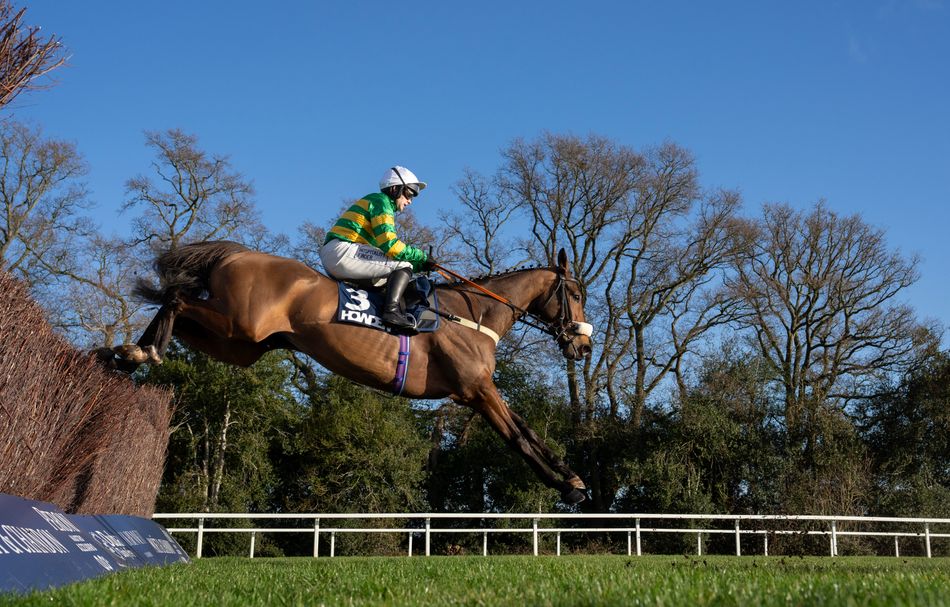 Iroko team plot route back to Grand National after JP McManus ace trimmed to 8-1 for Aintree ...