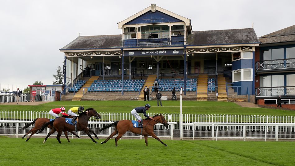 Huntingdon passes inspection for Peterborough Chase card with wind ...