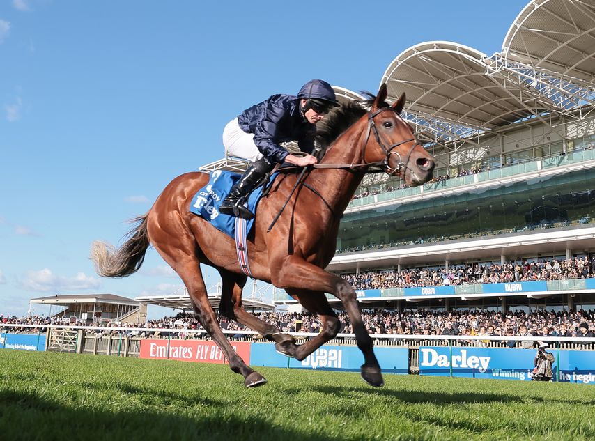 Aidan O'Brien says City Of Troy is the best two-year-old he's trained ...