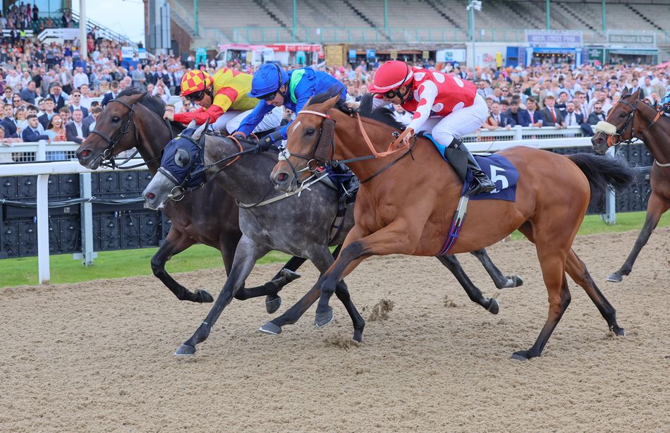 'Keep your eye on him' - apprentice worth following says Charlie ...