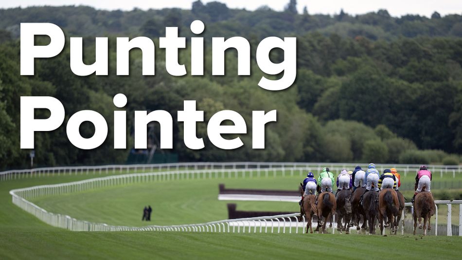 Can Richard Newland and Jamie Insole get their new training partnership ...