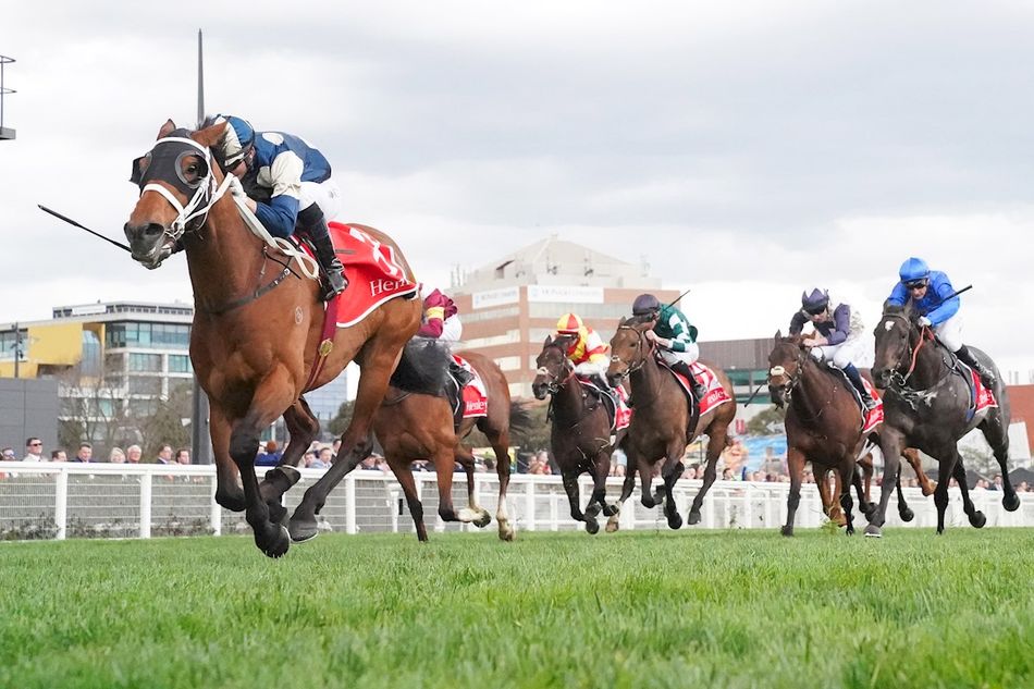 Buckaroo a 44th individual Group 1 winner for Fastnet Rock with ...